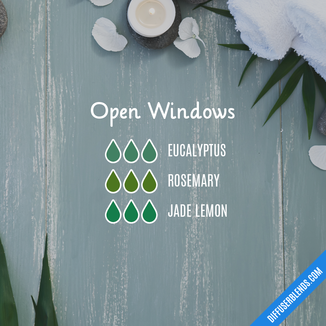 Open Windows | DiffuserBlends.com