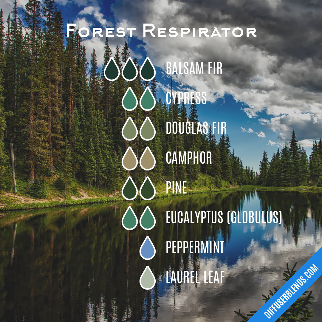 Forest Respirator | DiffuserBlends.com