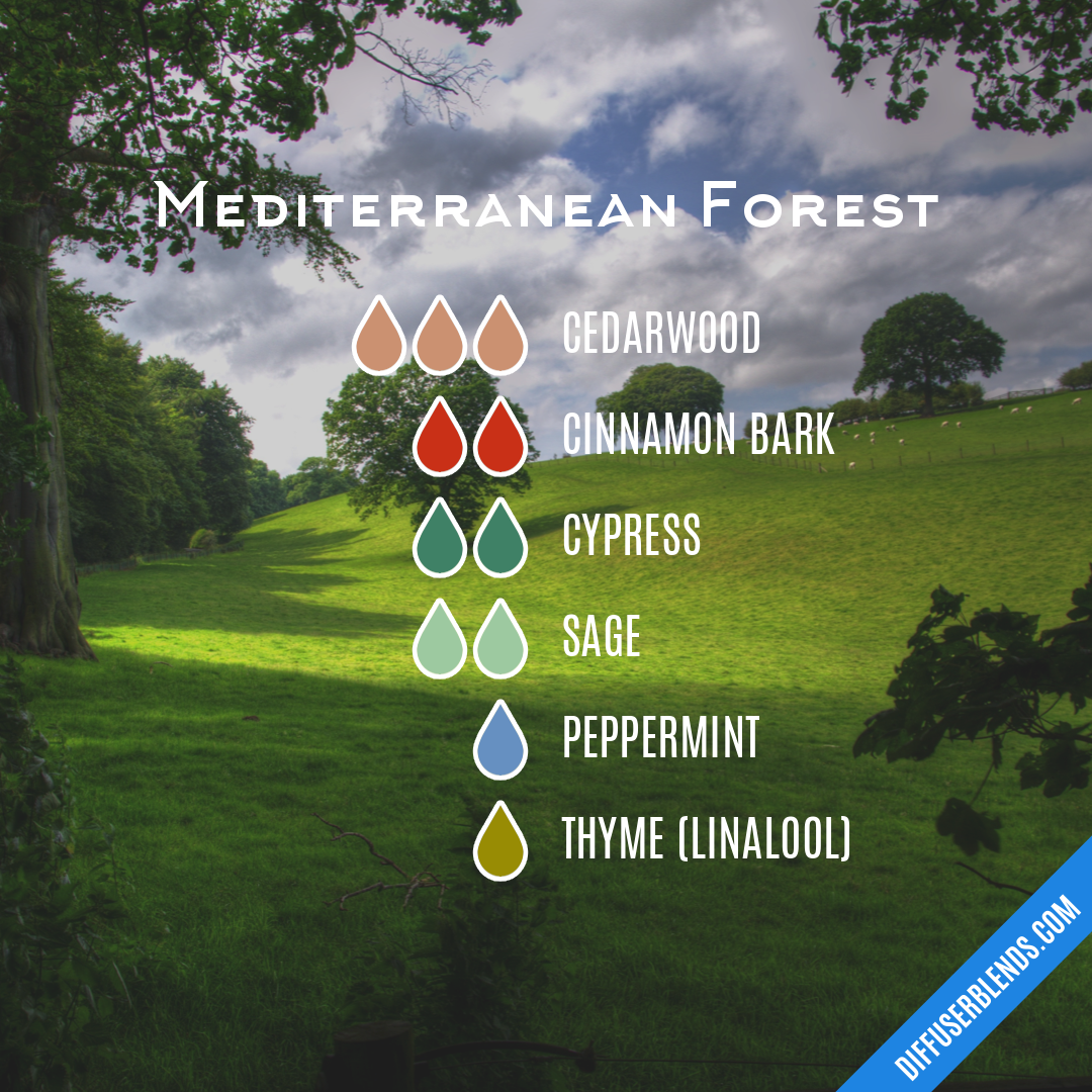 Mediterranean Forest | DiffuserBlends.com