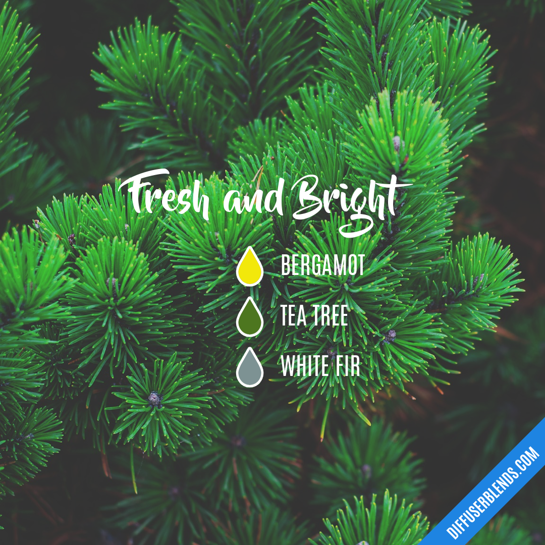 Fresh and Bright | DiffuserBlends.com