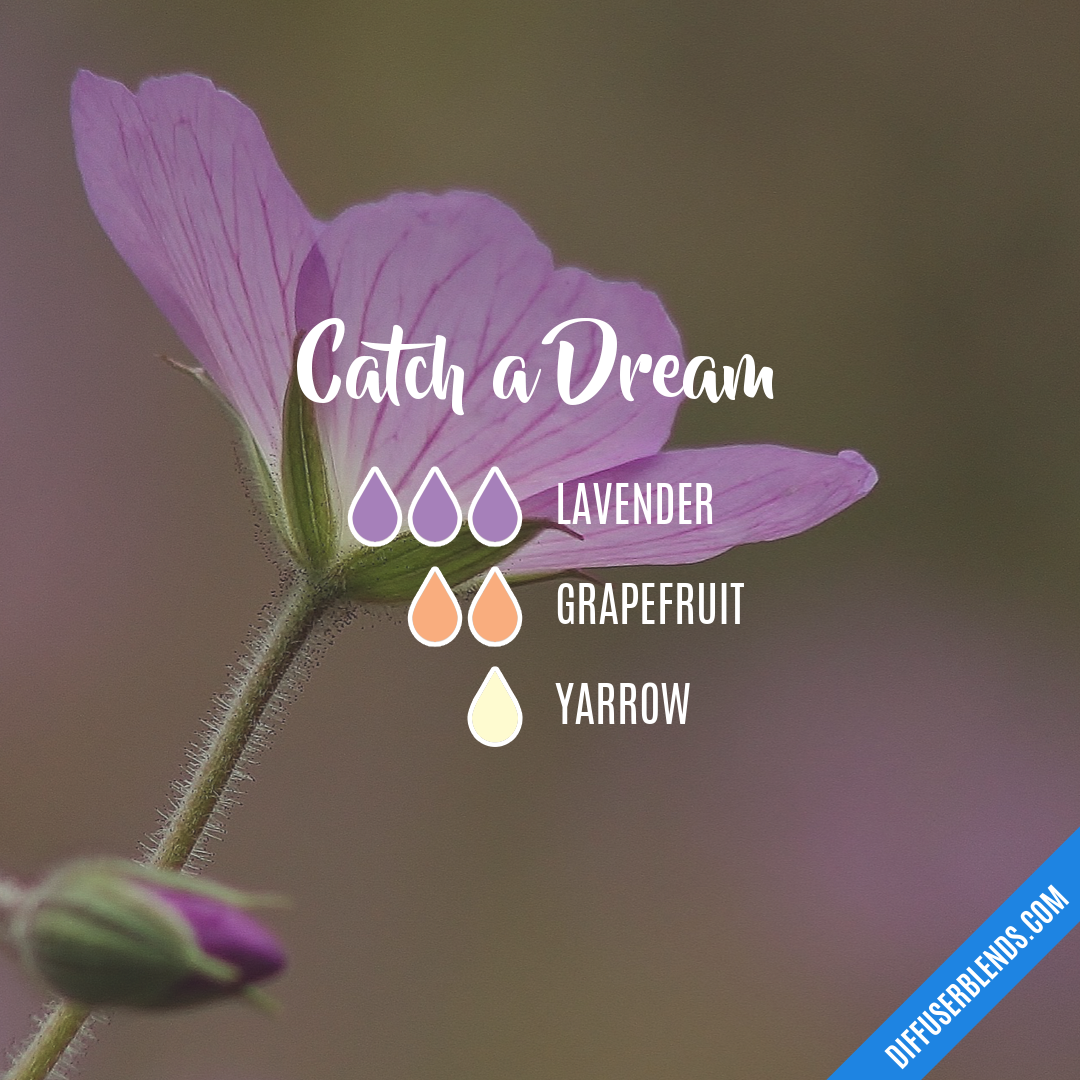 Catch a Dream | DiffuserBlends.com