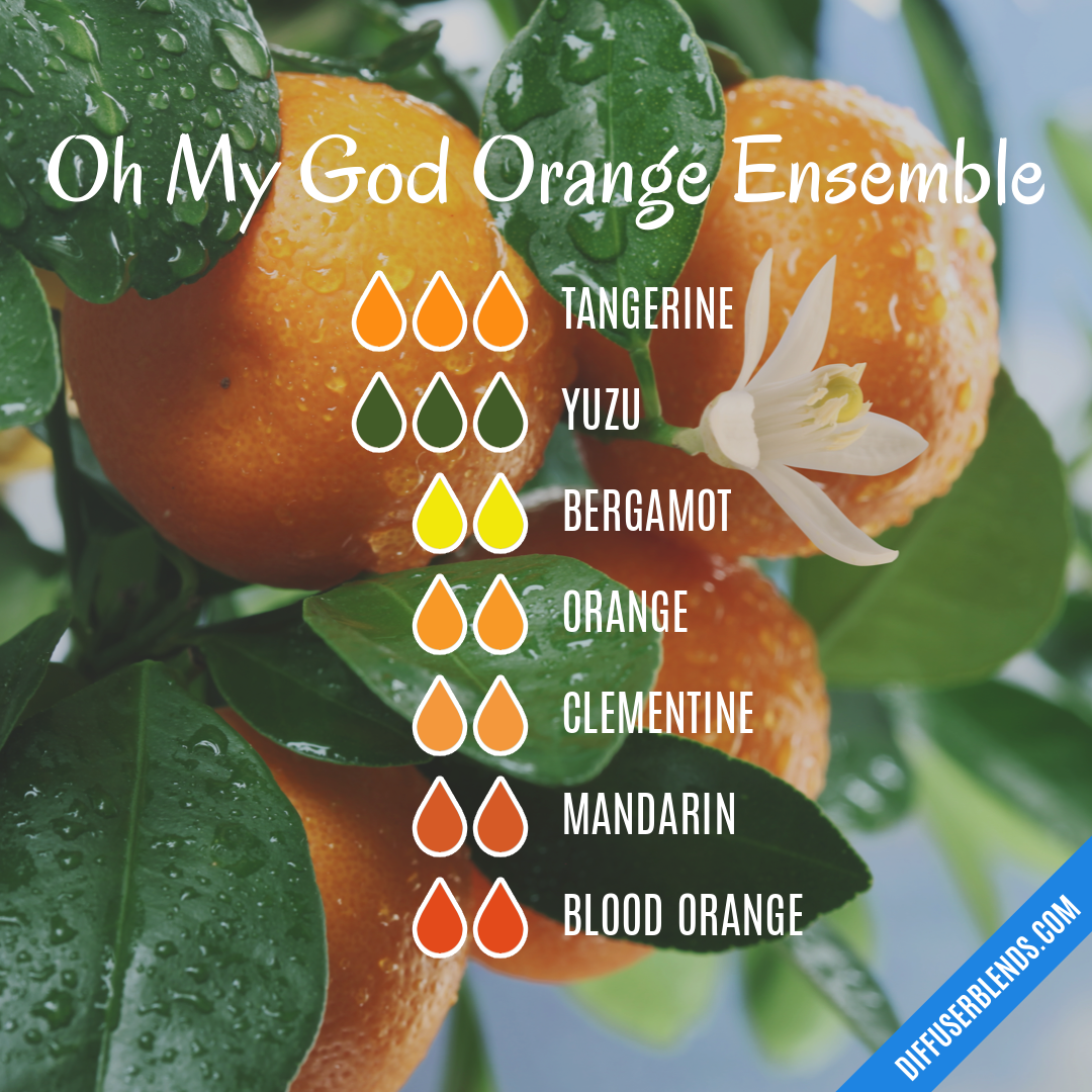 Oh My God Orange Ensemble | DiffuserBlends.com