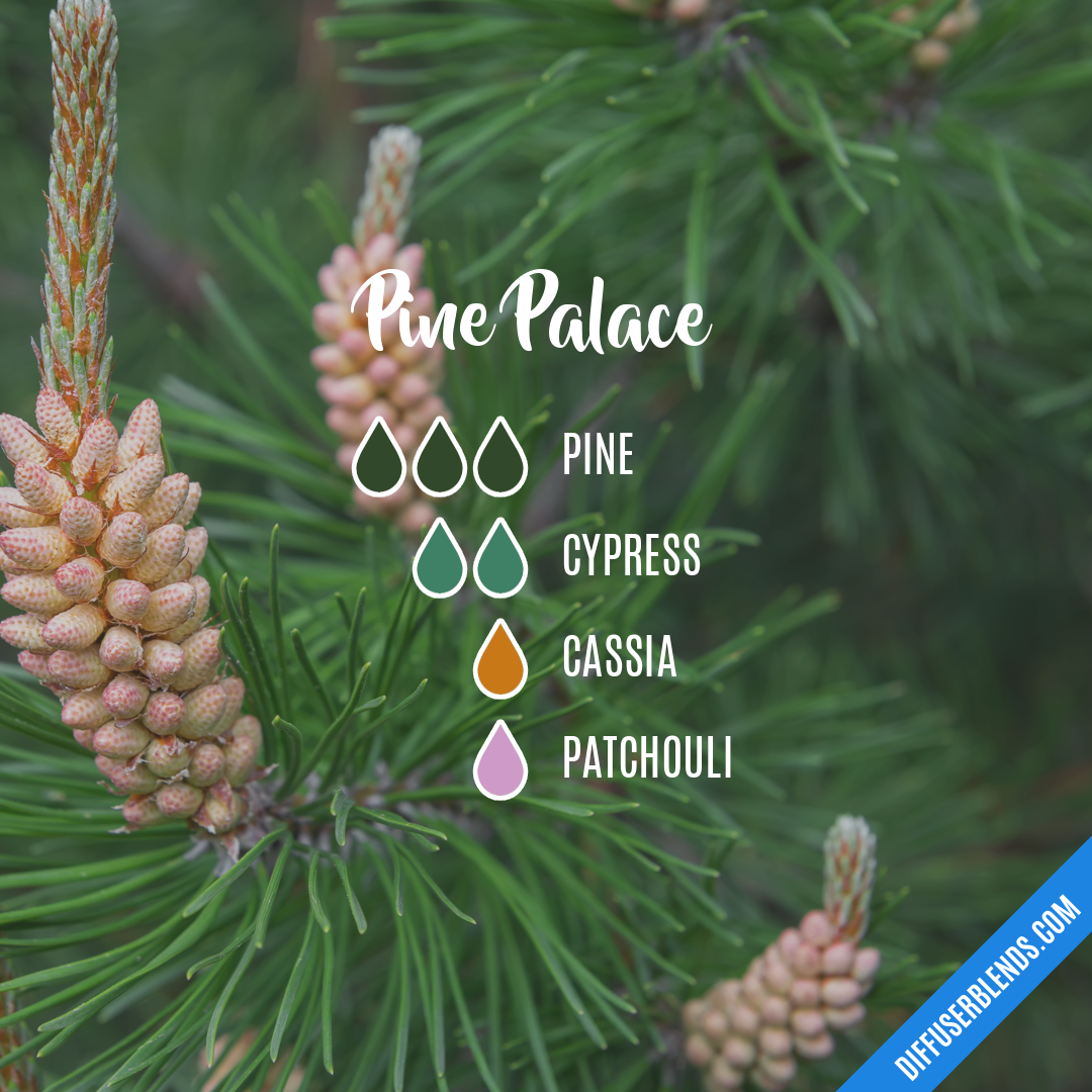 Pine Palace | DiffuserBlends.com