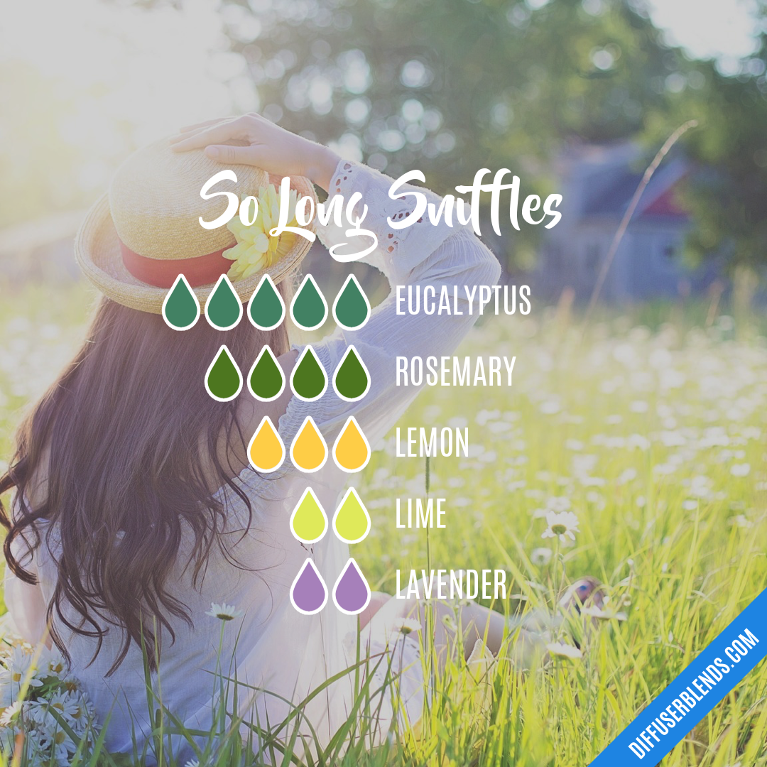 So Long Sniffles | DiffuserBlends.com