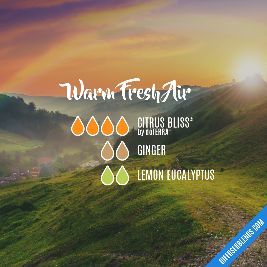 Warm Fresh Air | DiffuserBlends.com