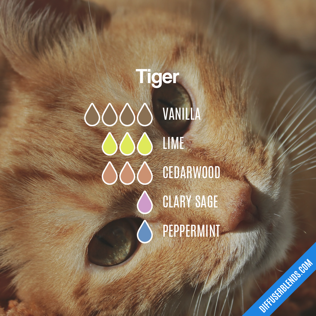 Tiger | DiffuserBlends.com