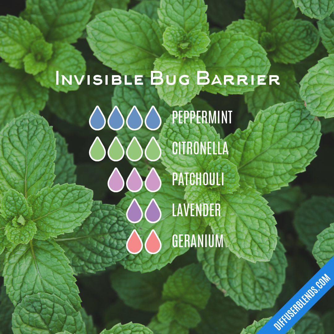 Invisible Bug Barrier | DiffuserBlends.com