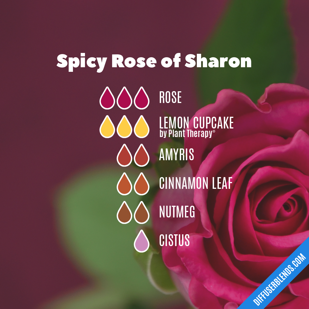 Spicy Rose of Sharon | DiffuserBlends.com