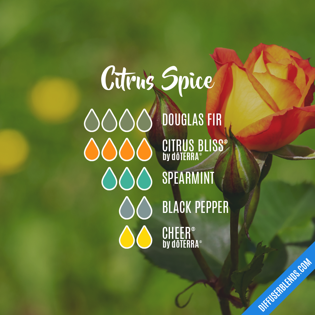 Citrus Spice | DiffuserBlends.com