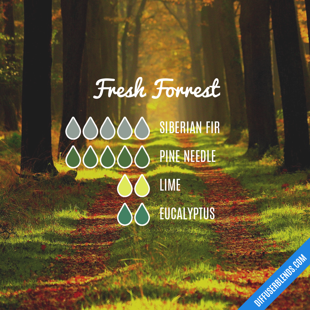 Fresh Forrest | DiffuserBlends.com