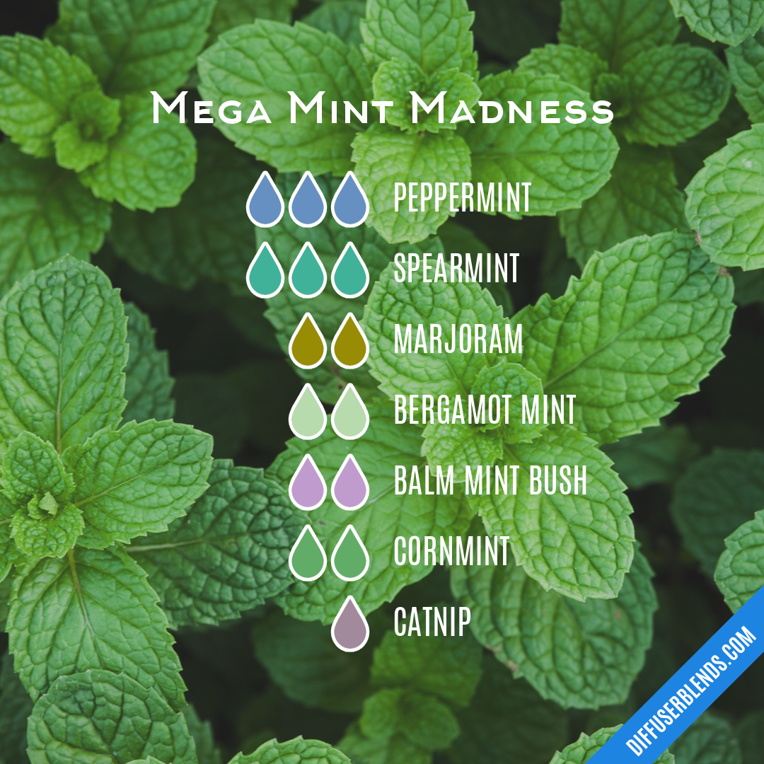 Mega Mint Madness | DiffuserBlends.com