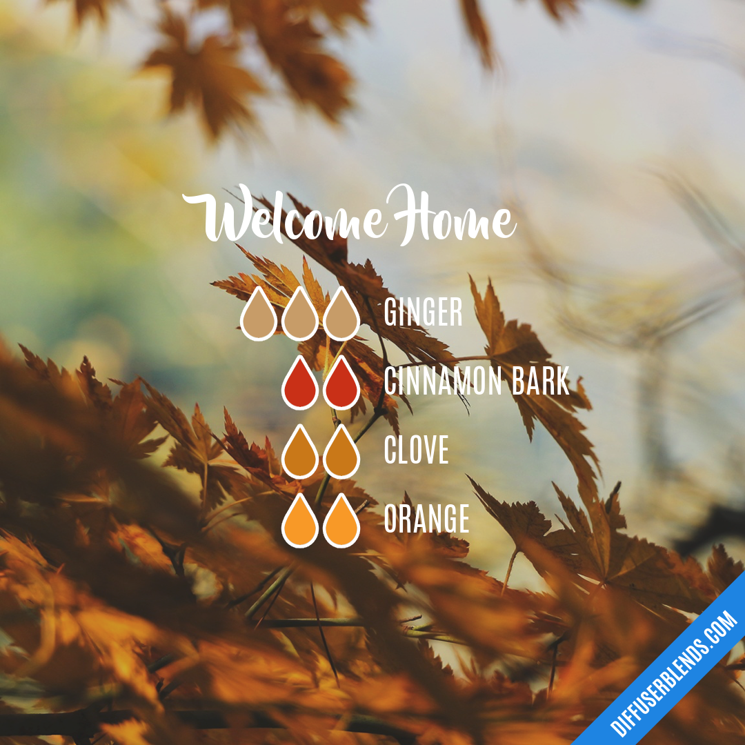 Welcome Home | DiffuserBlends.com