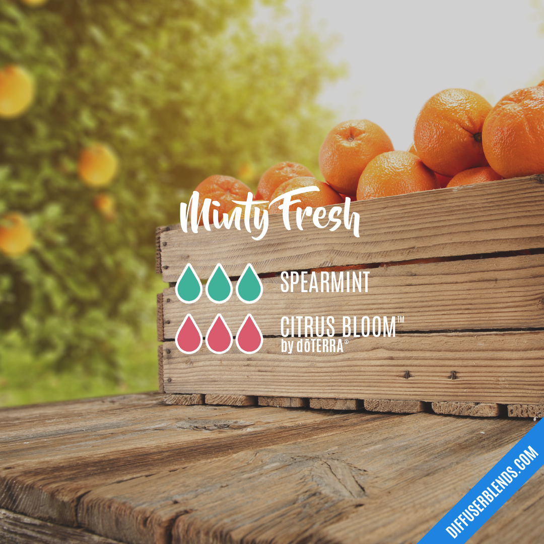 Minty Fresh | DiffuserBlends.com