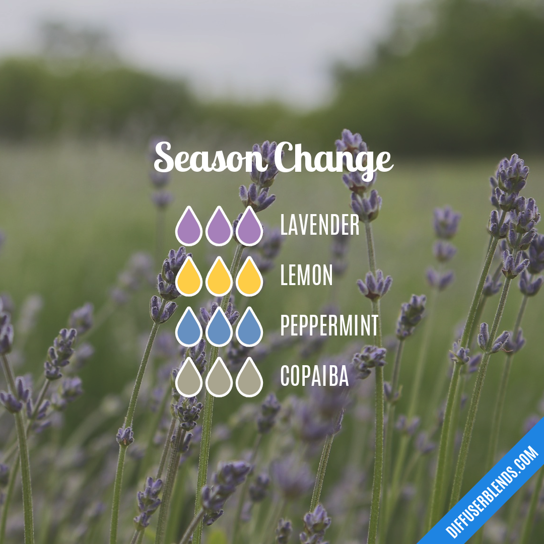 Season Change | DiffuserBlends.com