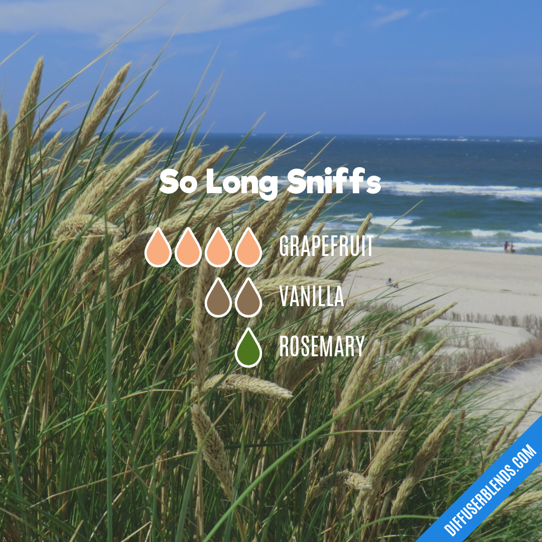 So Long Sniffs | DiffuserBlends.com