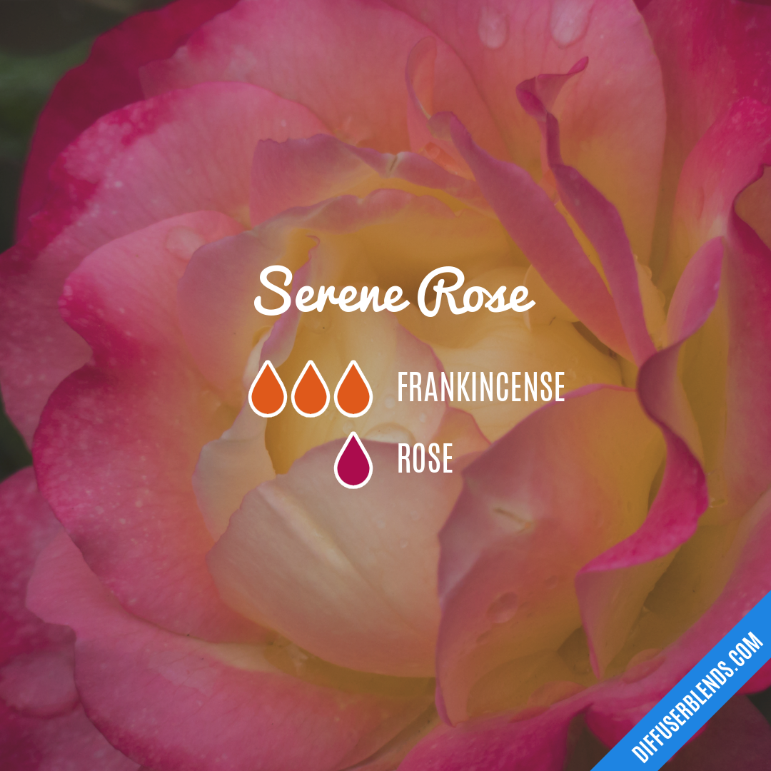 Serene Rose | DiffuserBlends.com