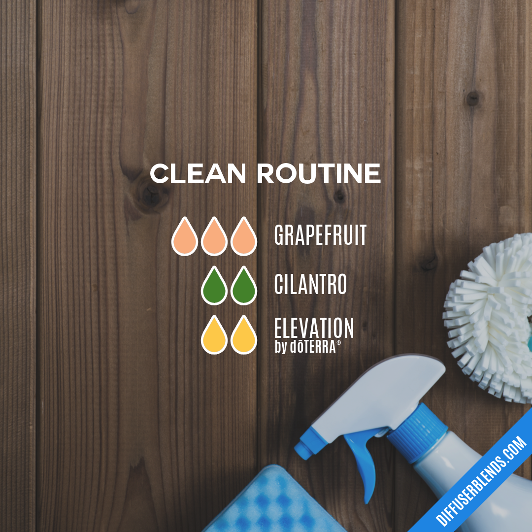 Clean Routine | DiffuserBlends.com