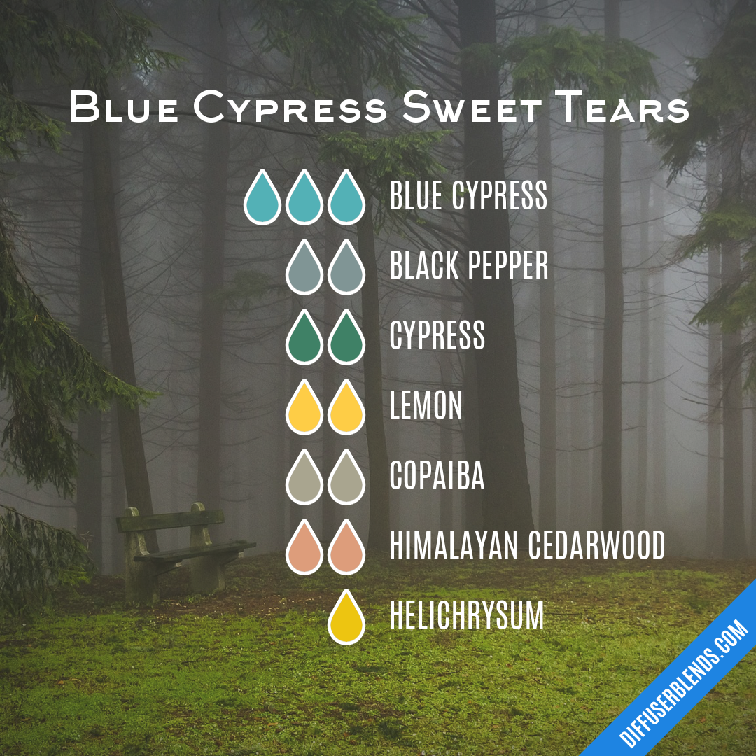Blue Cypress Sweet Tears | DiffuserBlends.com