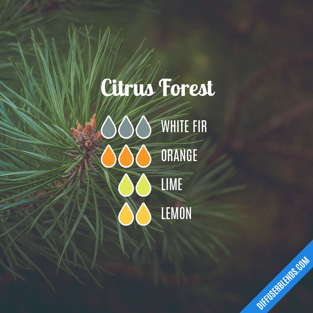 Citrus Forest | DiffuserBlends.com