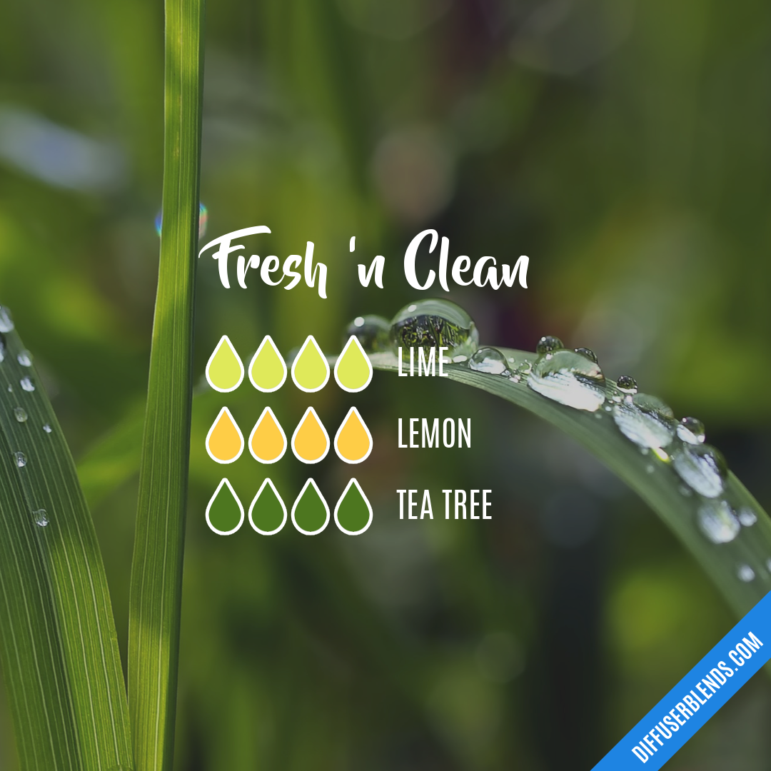 Fresh ‘n Clean | DiffuserBlends.com
