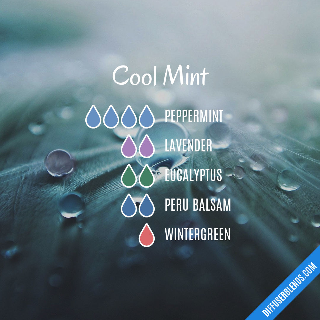 Cool Mint | DiffuserBlends.com