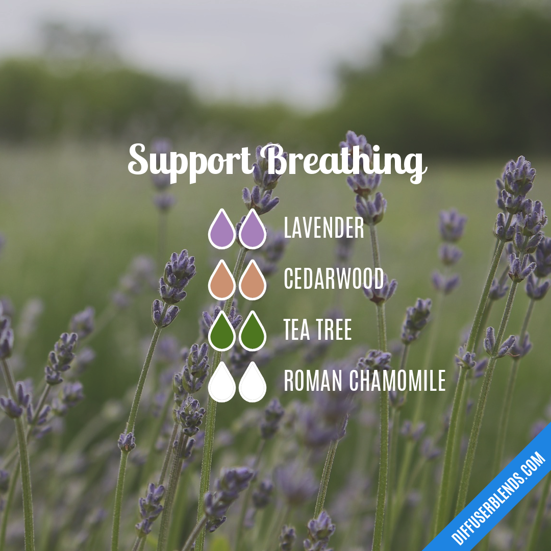 Support Breathing | DiffuserBlends.com