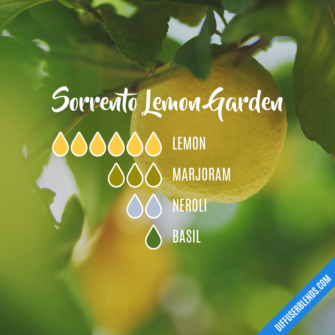 Sorrento Lemon Garden | DiffuserBlends.com