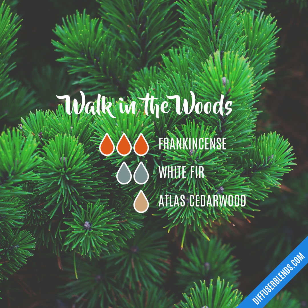 Walk in the Woods | DiffuserBlends.com