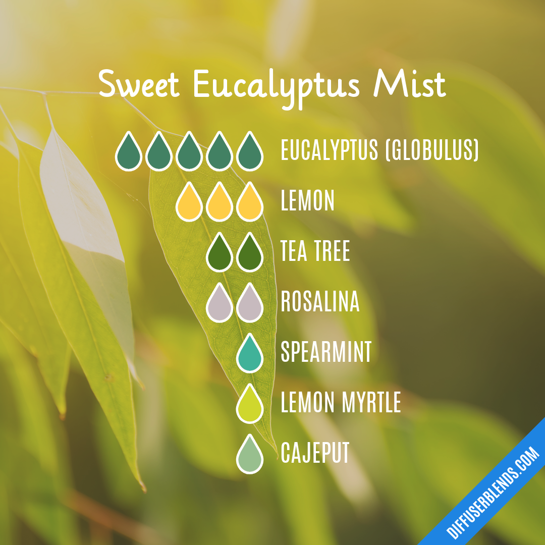 Sweet Eucalyptus Mist | DiffuserBlends.com
