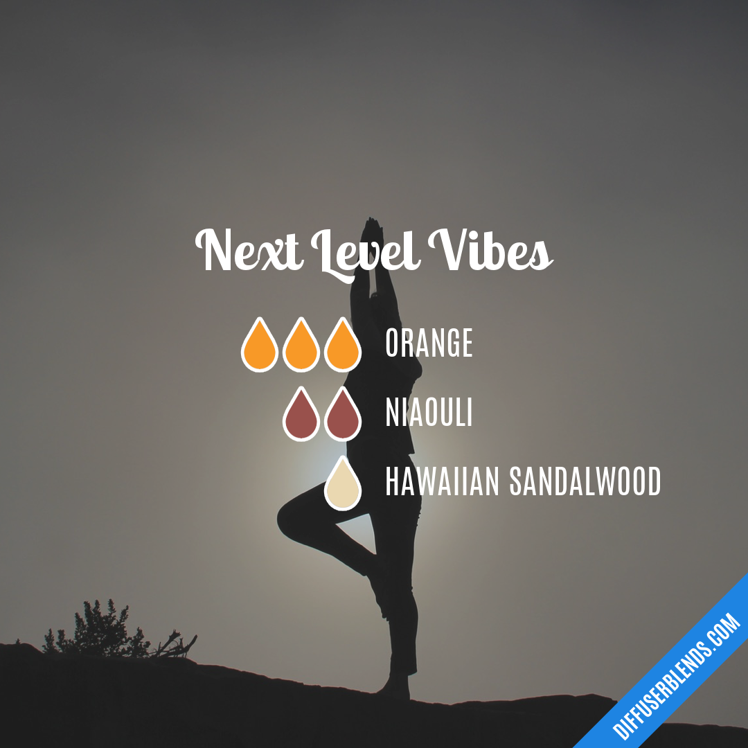 Next Level Vibes | DiffuserBlends.com