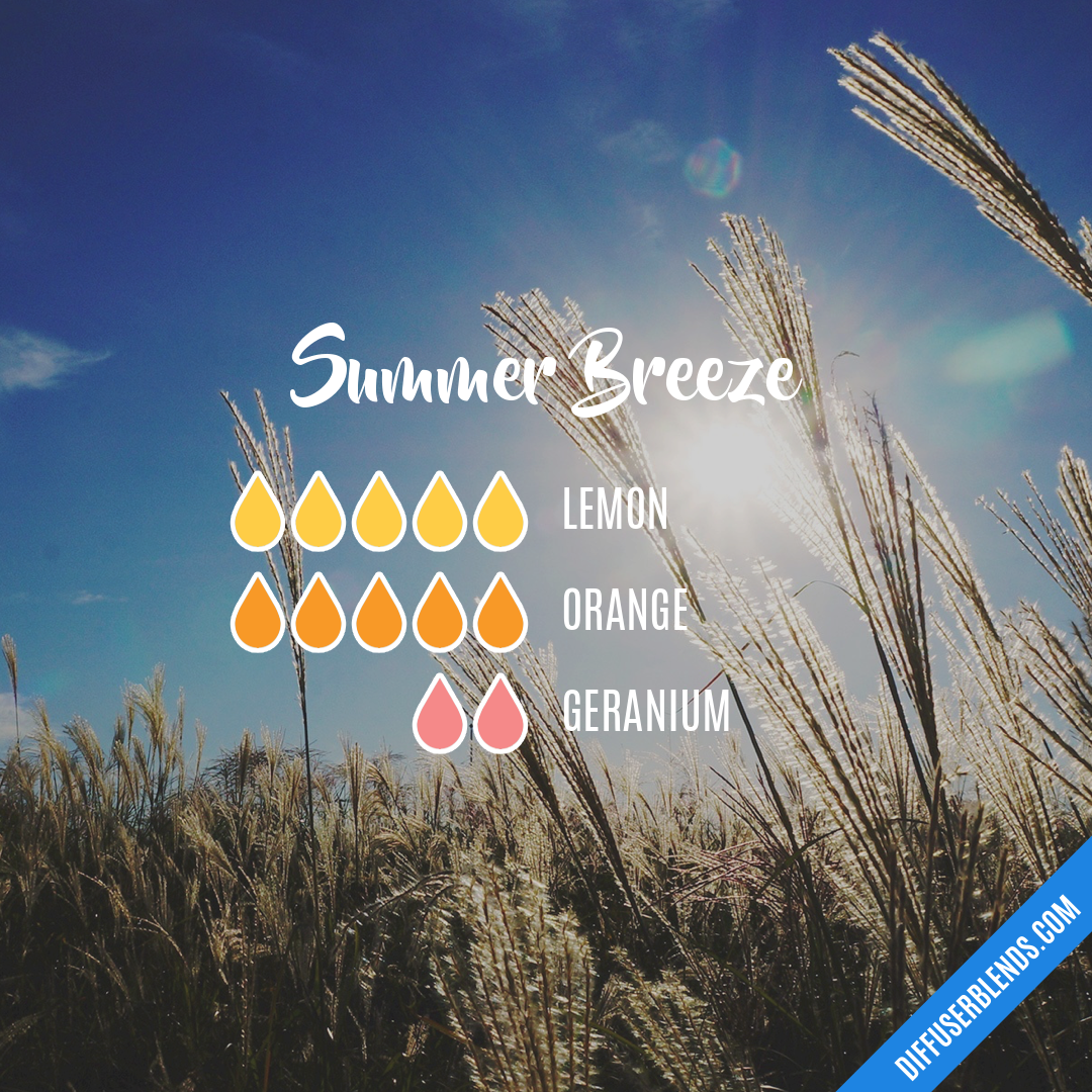 Summer Breeze | DiffuserBlends.com