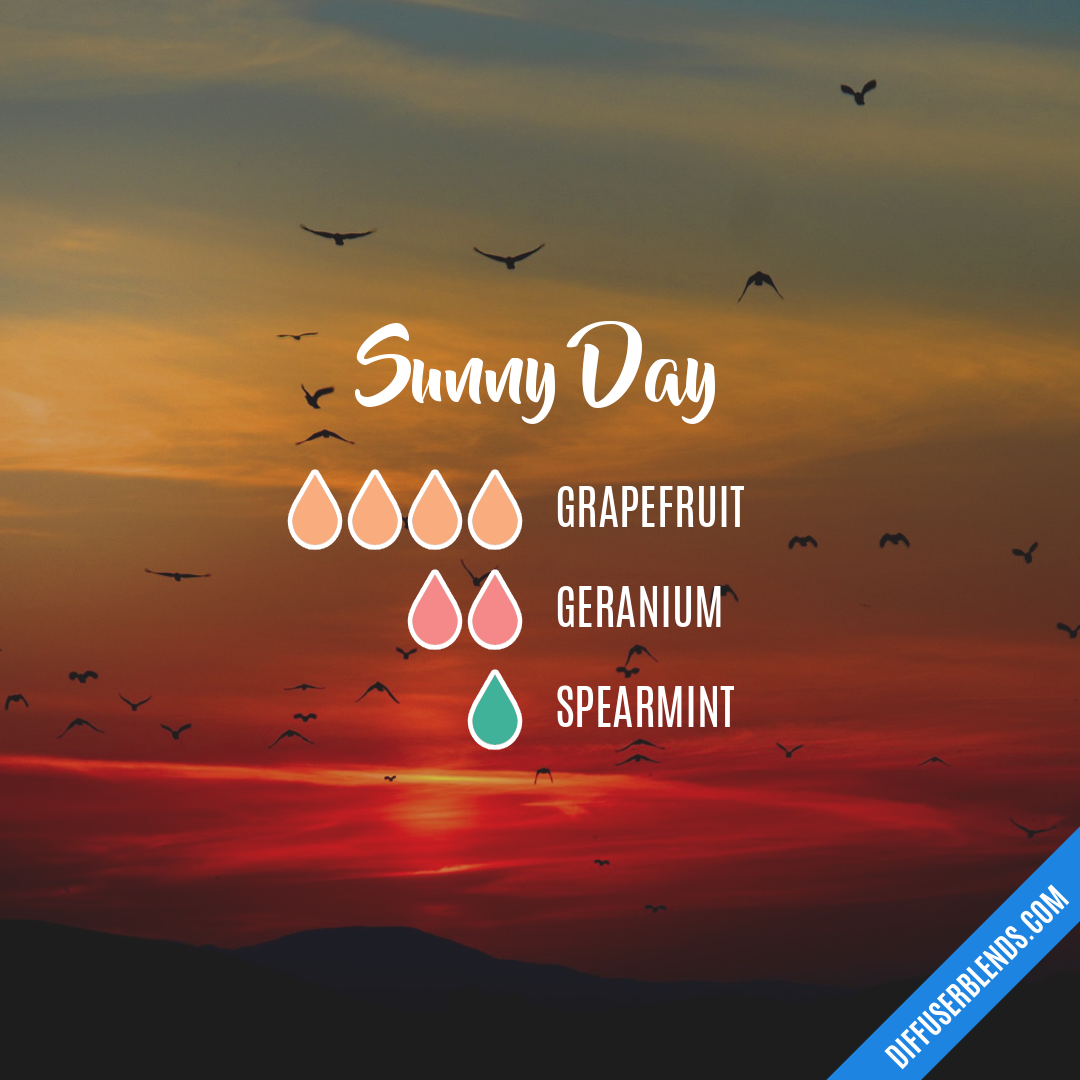Sunny Day | DiffuserBlends.com