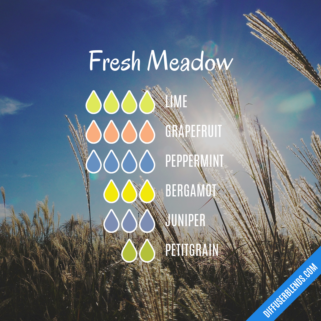 Fresh Meadow | DiffuserBlends.com
