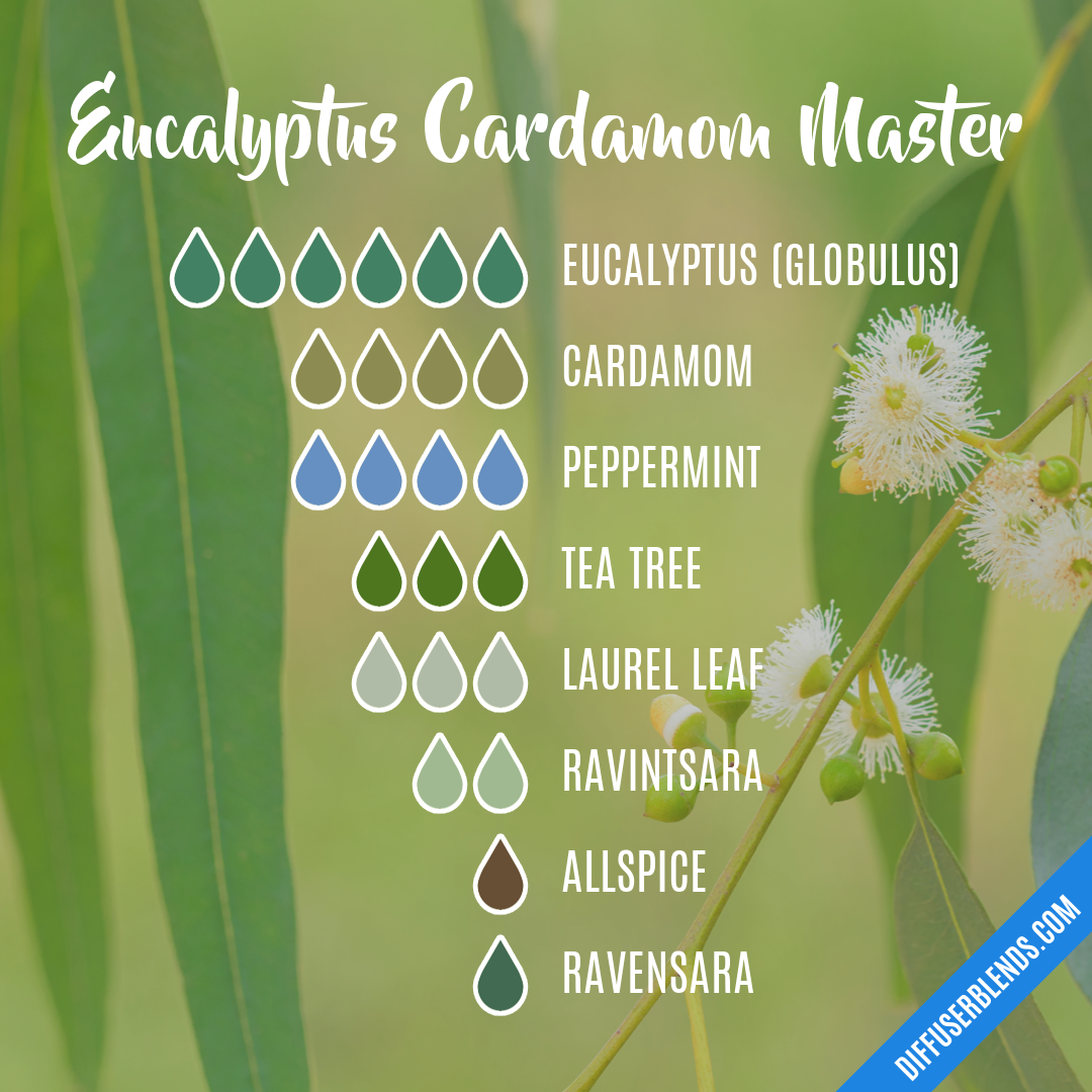 Eucalyptus Cardamom Master | DiffuserBlends.com