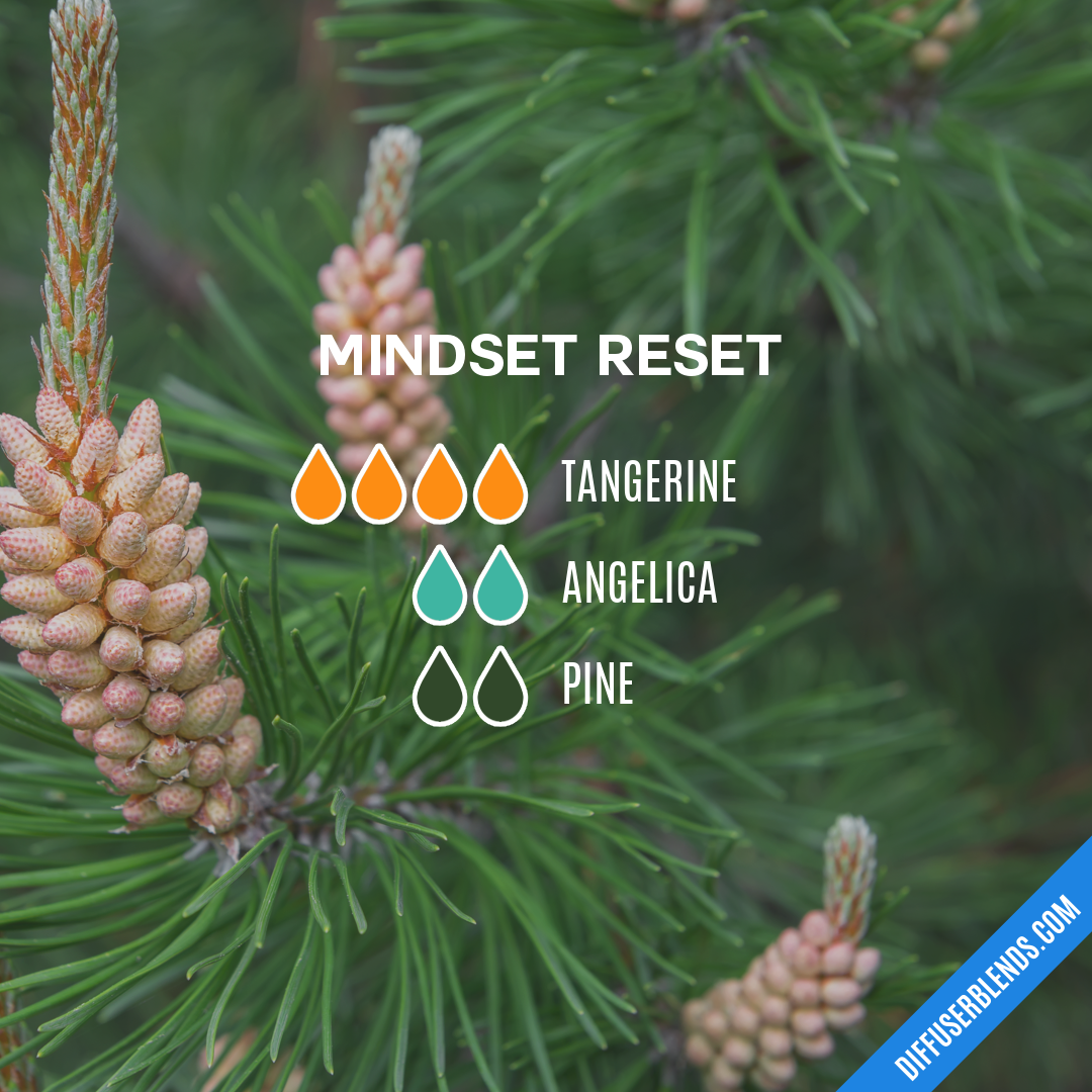 Mindset Reset | DiffuserBlends.com