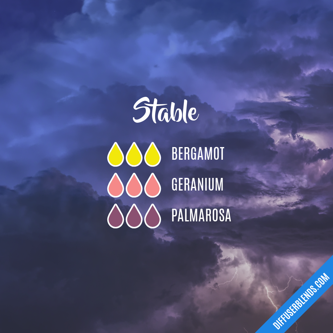 Stable | DiffuserBlends.com