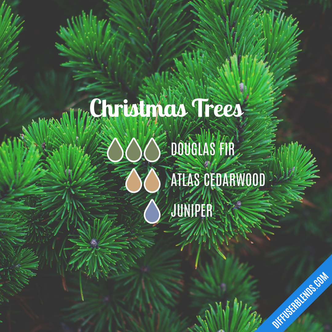 Christmas Trees | DiffuserBlends.com