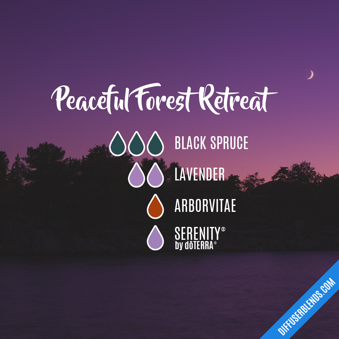 Peaceful Forest Retreat | DiffuserBlends.com