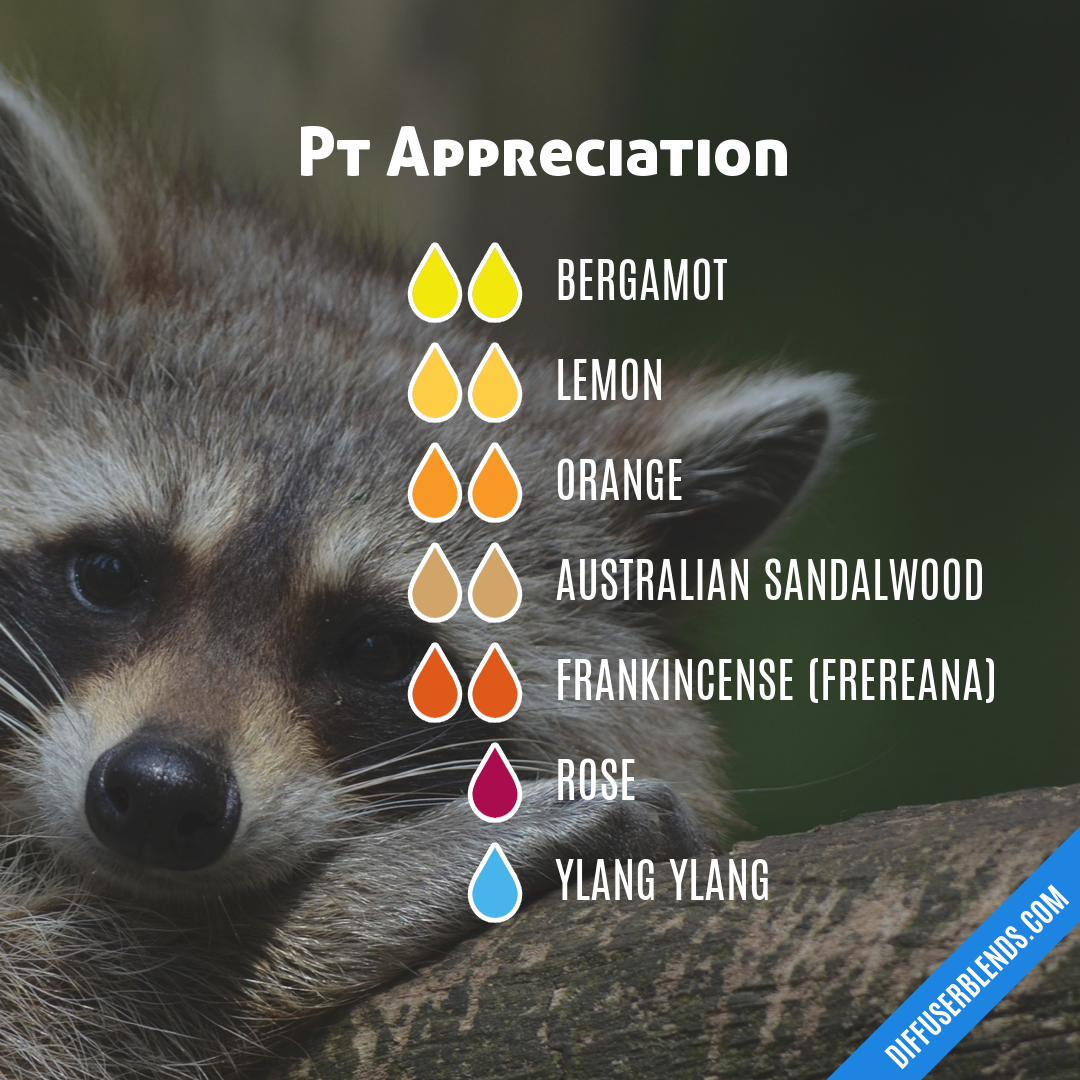 Pt Appreciation | DiffuserBlends.com