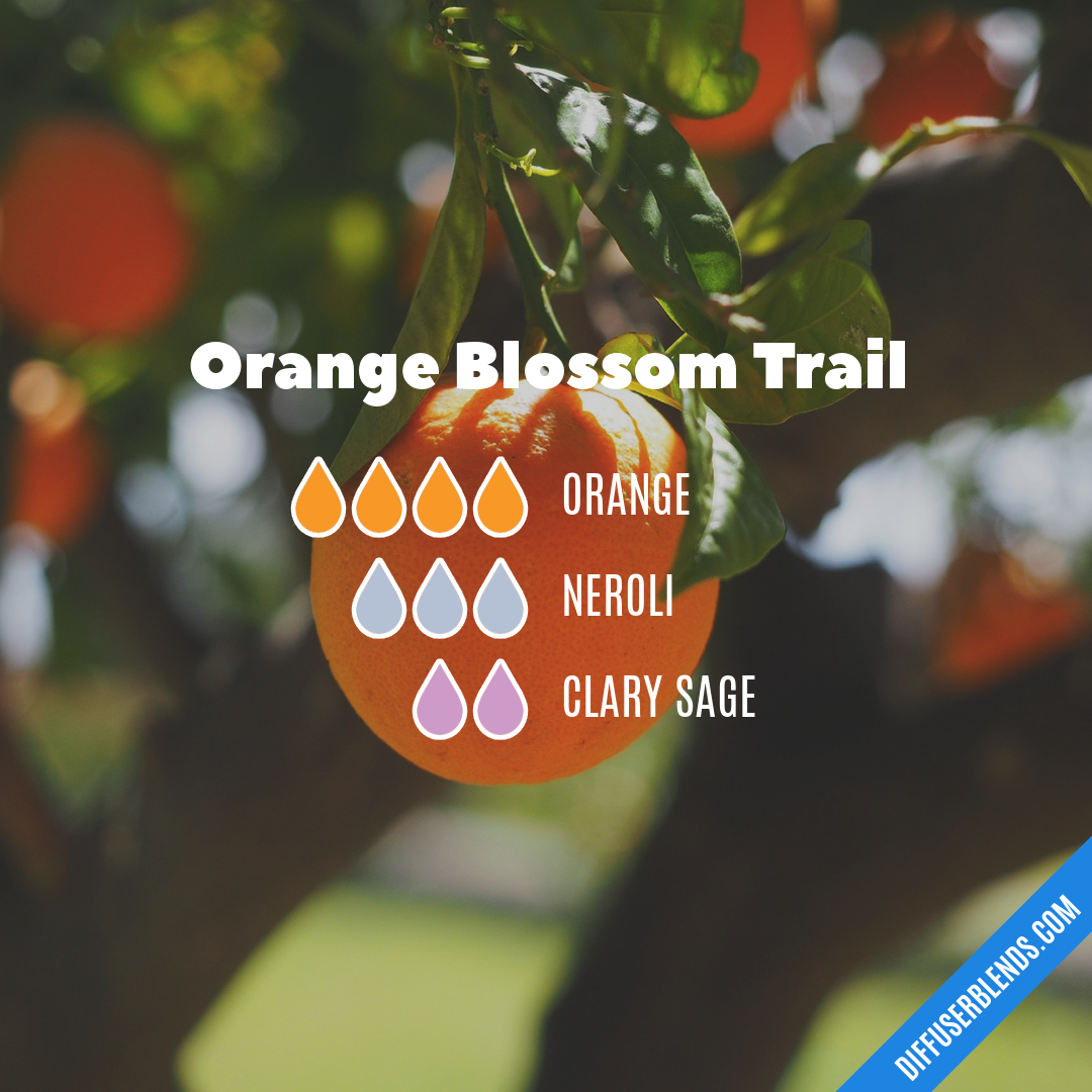 Orange Blossom Trail | DiffuserBlends.com