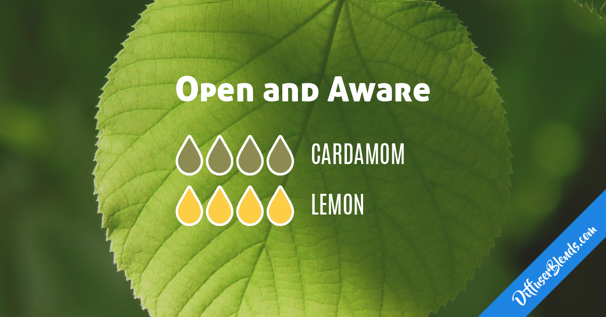 Open and Aware | DiffuserBlends.com