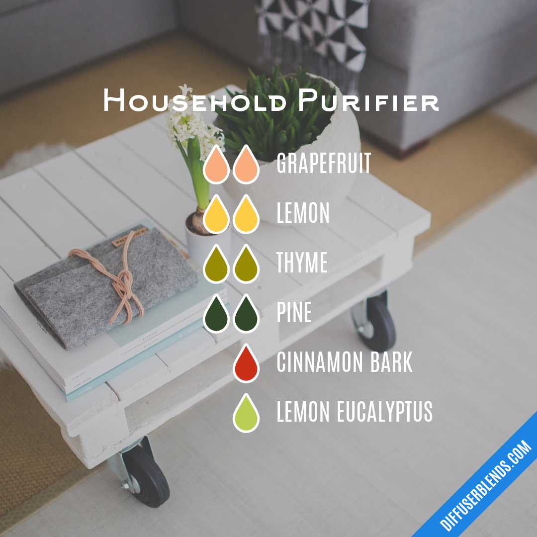 Household Purifier | DiffuserBlends.com