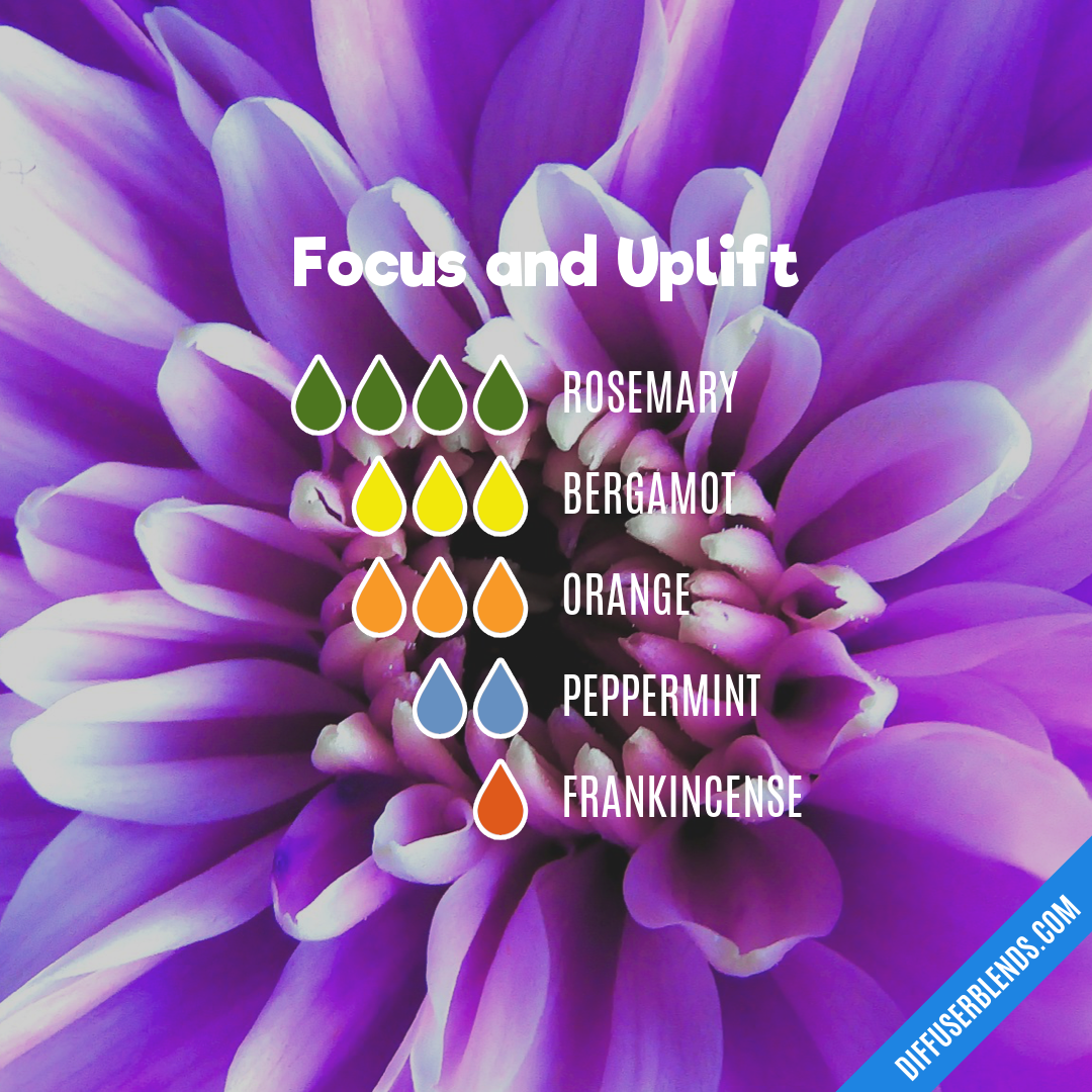 Focus and Uplift | DiffuserBlends.com