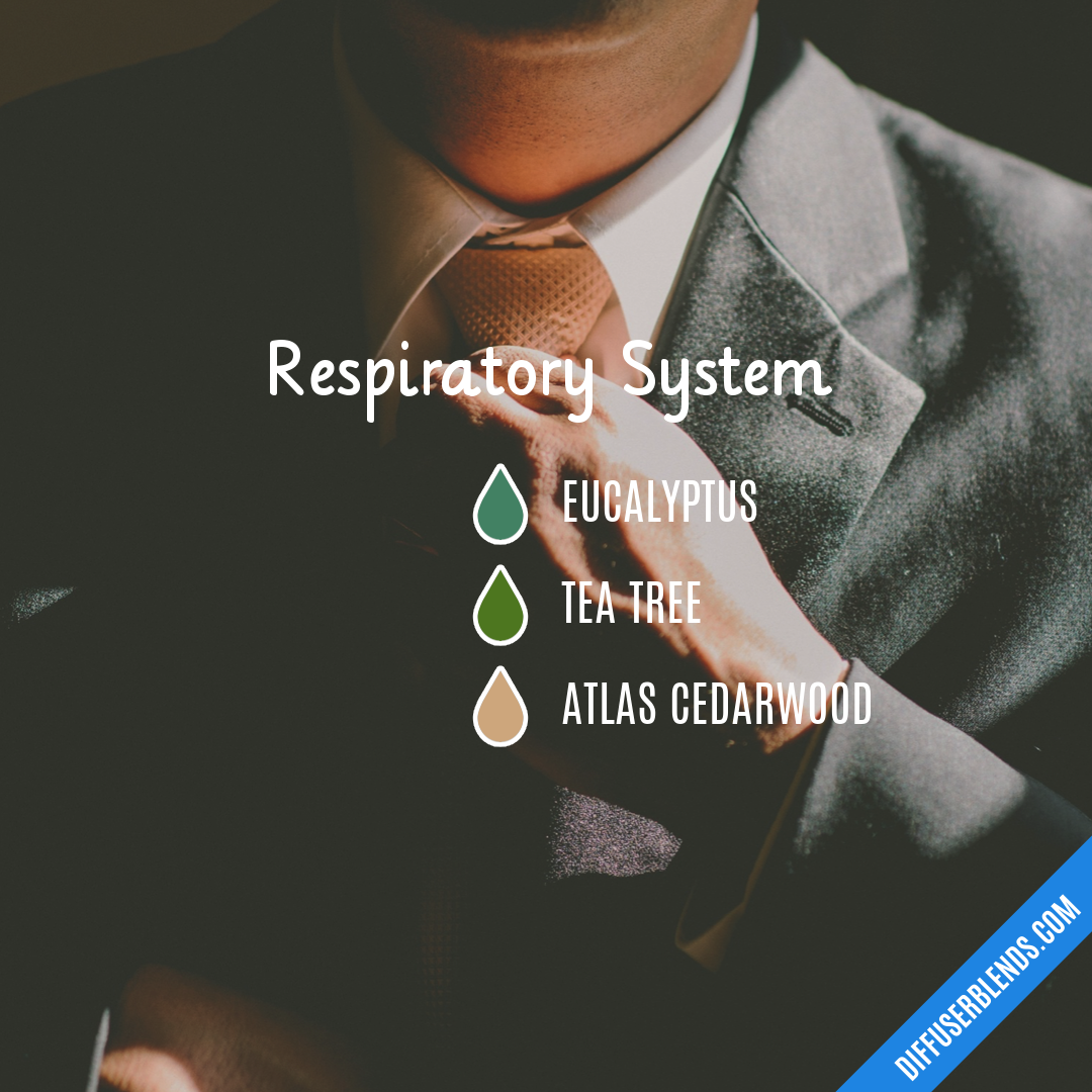 Respiratory System | DiffuserBlends.com