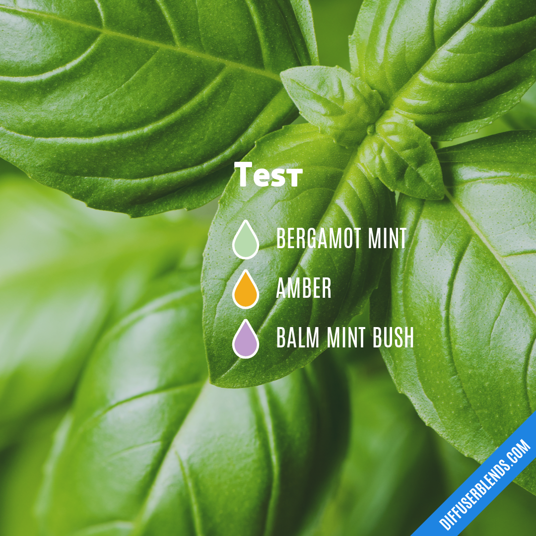 Test | DiffuserBlends.com