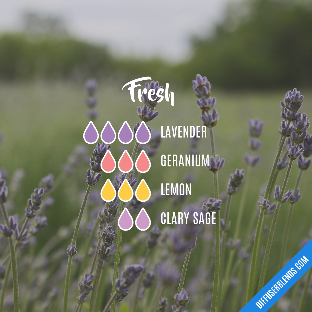 Fresh | DiffuserBlends.com