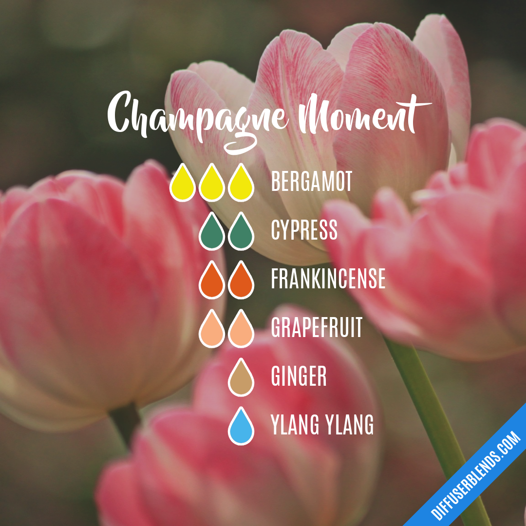 Champagne Moment | DiffuserBlends.com