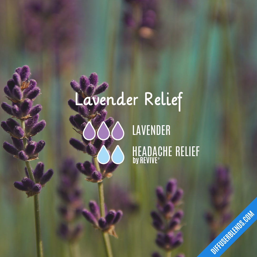 Lavender Relief | DiffuserBlends.com