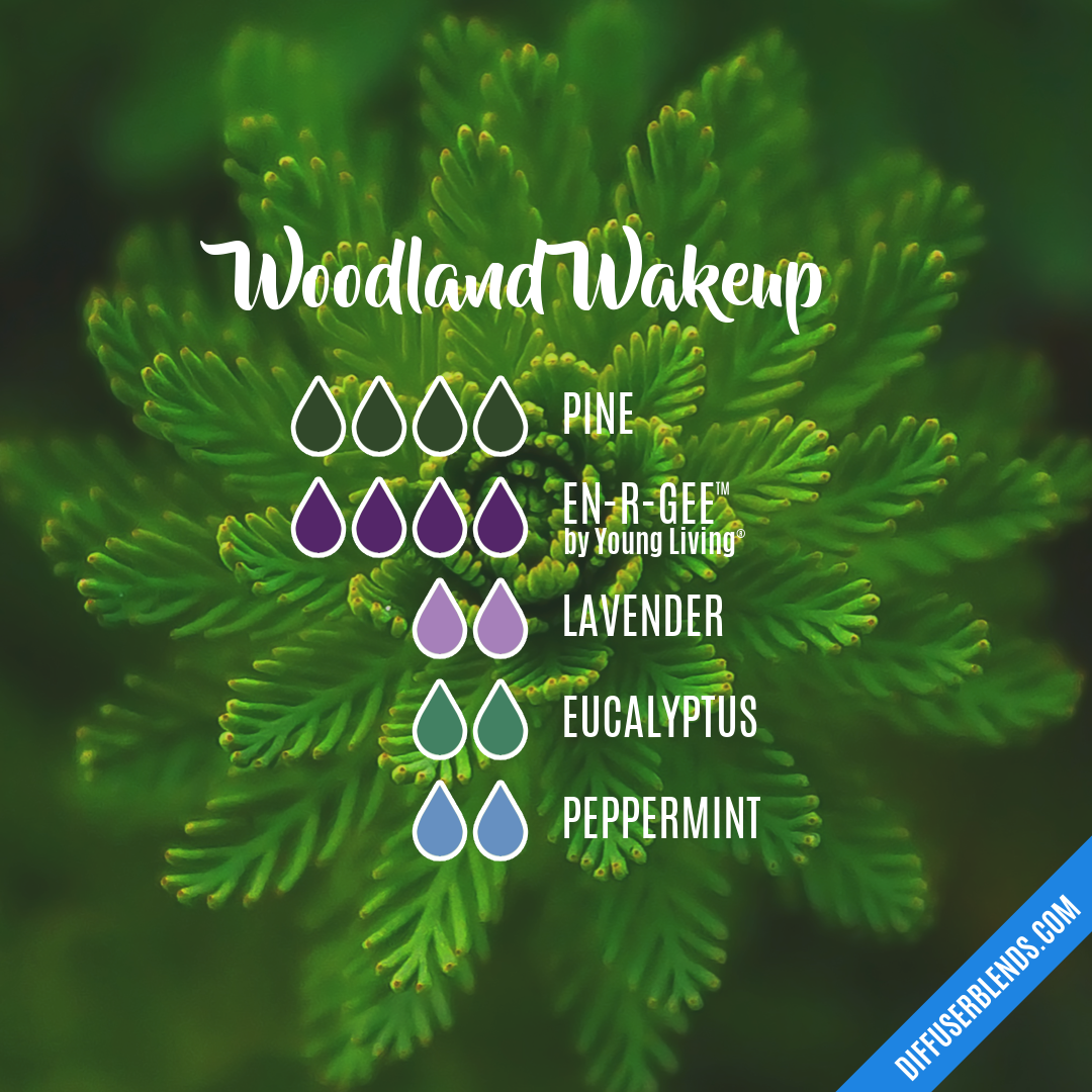 Woodland Wakeup | DiffuserBlends.com