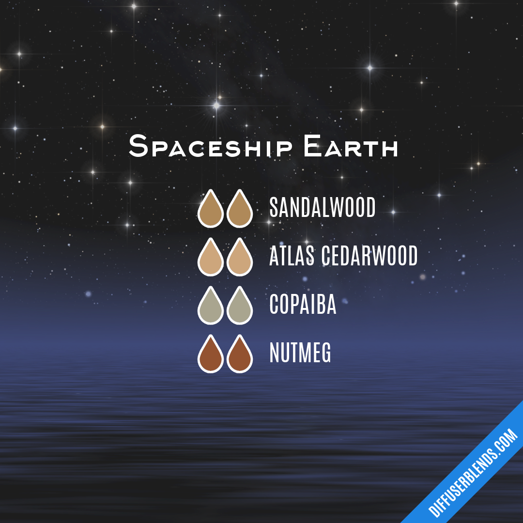 Spaceship Earth | DiffuserBlends.com